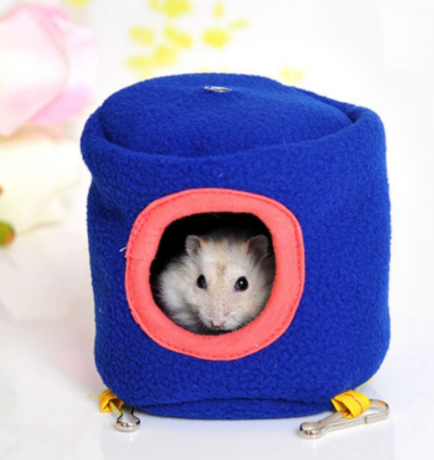 Todo sobre los hámsters - Cuidar hamster